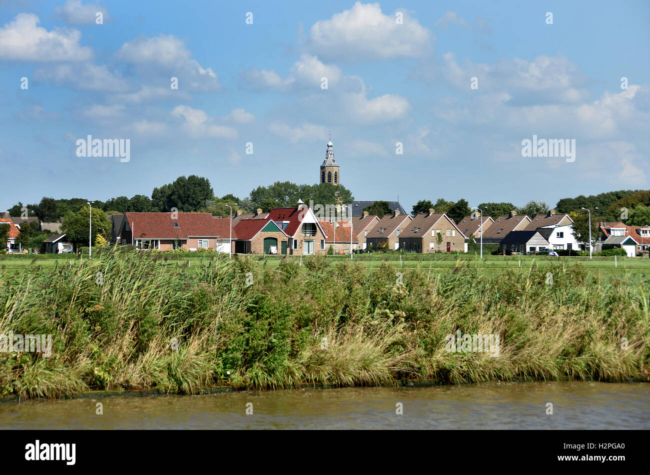 Cow Cows ,Green Grass,Farm Farming, Landscape Friesland, Fryslan The ...