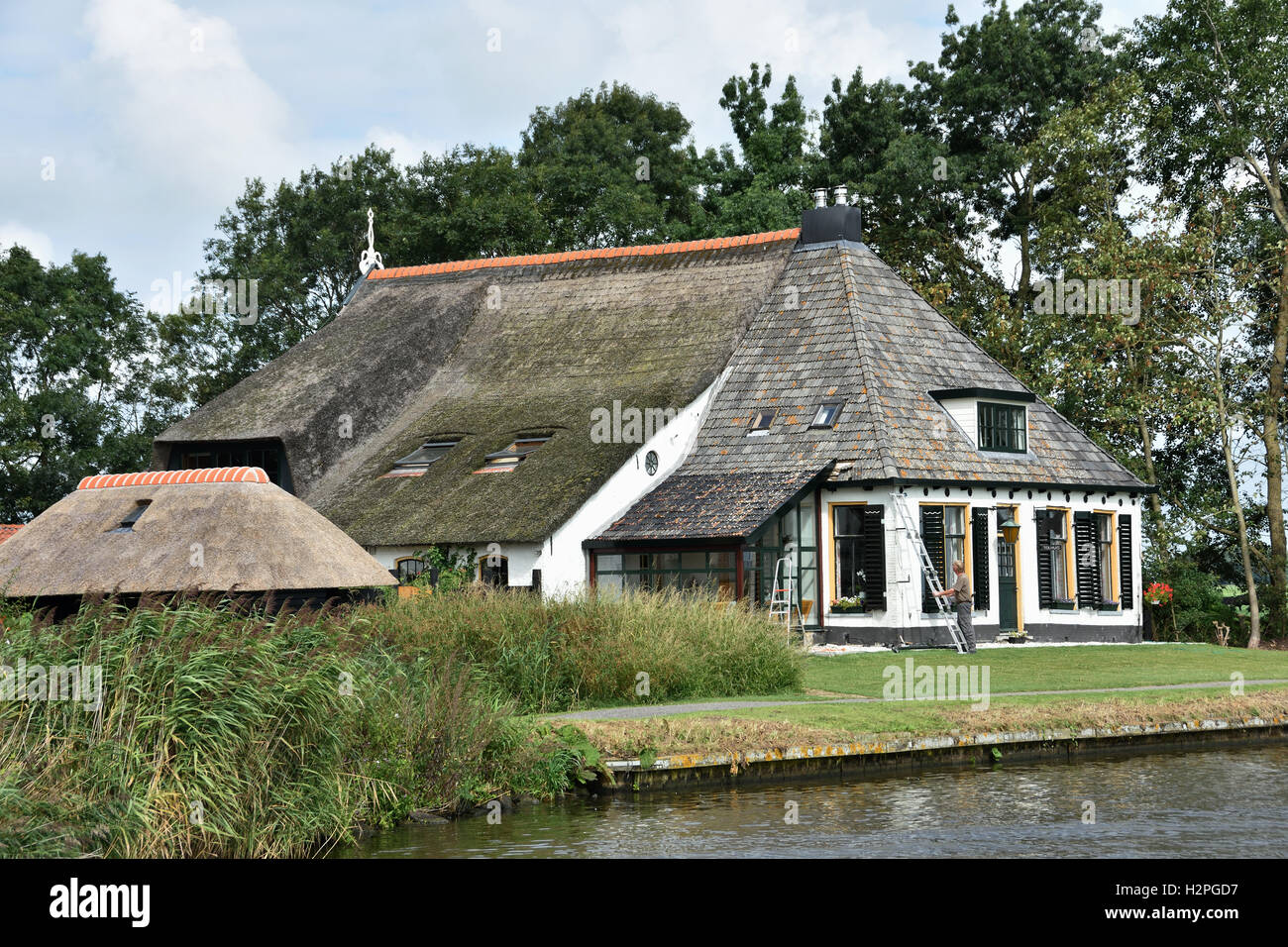 Farm Dokkumer EE Water Green Grass Farm Farming Landscape Friesland ...