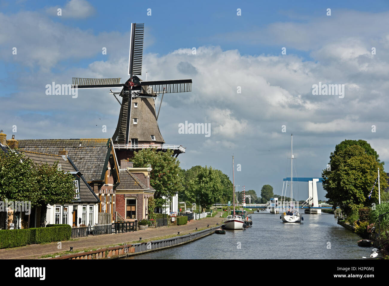 Burdaard birdaard hi-res stock photography and images - Alamy