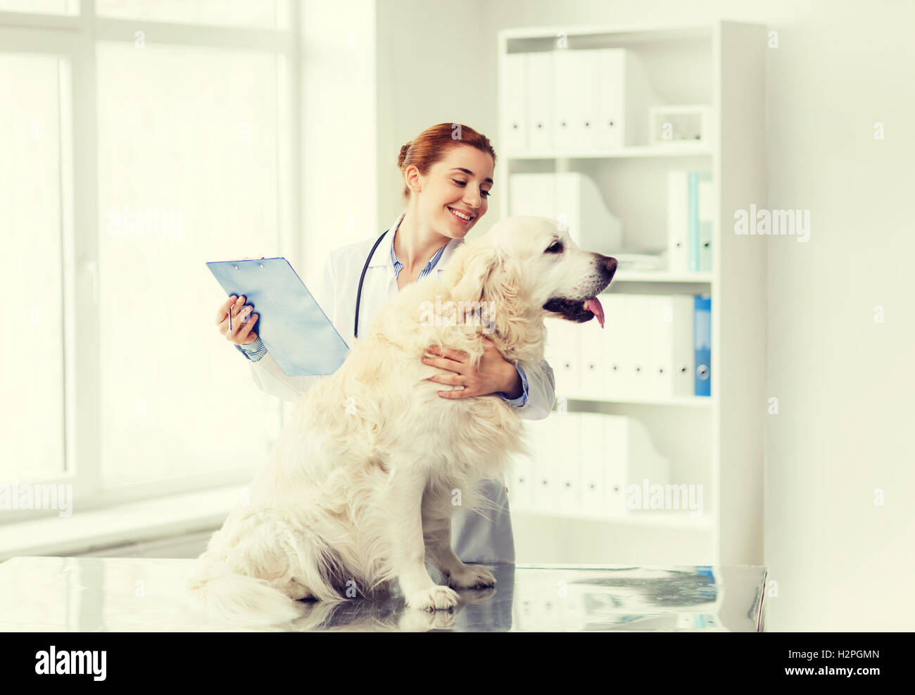 happy doctor with retriever dog at vet clinic Stock Photo - Alamy