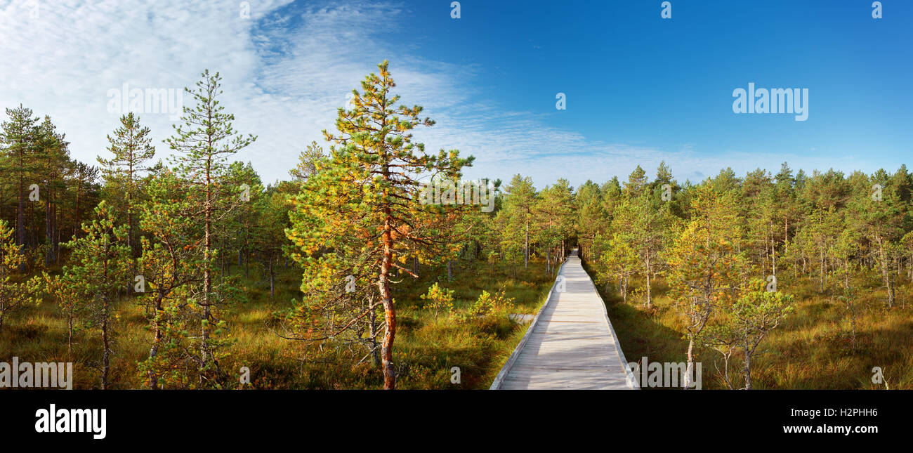 Viru bog trail hi-res stock photography and images - Alamy