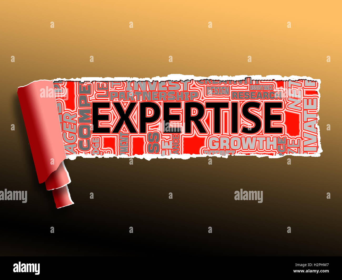Expertise Word Representing Specialists Experts And Proficiency Stock ...
