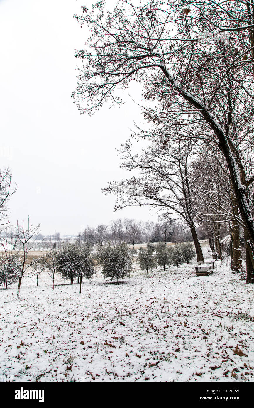 italian countryside after a snowfall in wintertime Stock Photo - Alamy