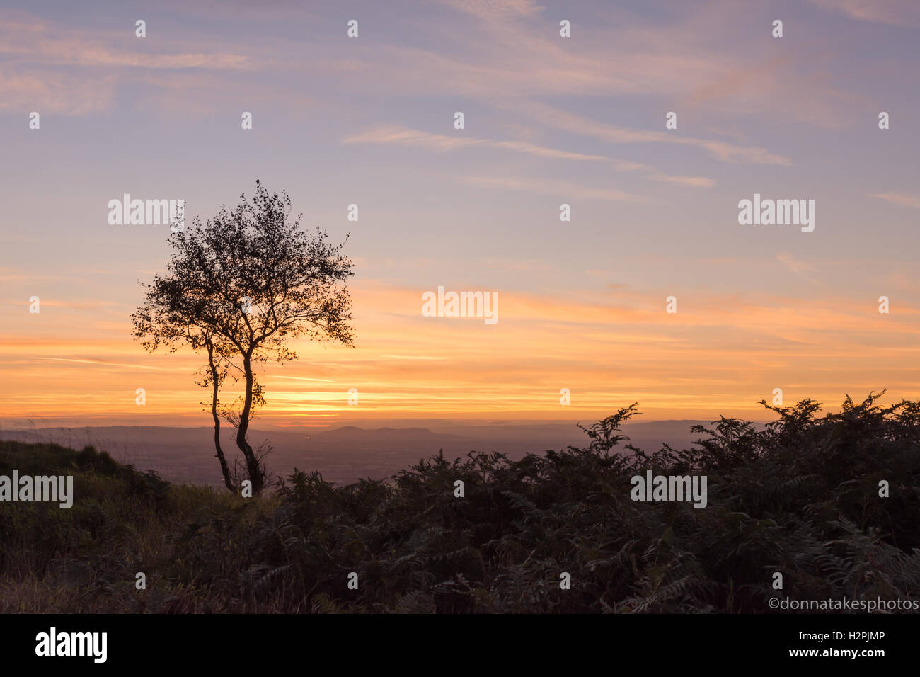 Telford and wrekin hi-res stock photography and images - Alamy