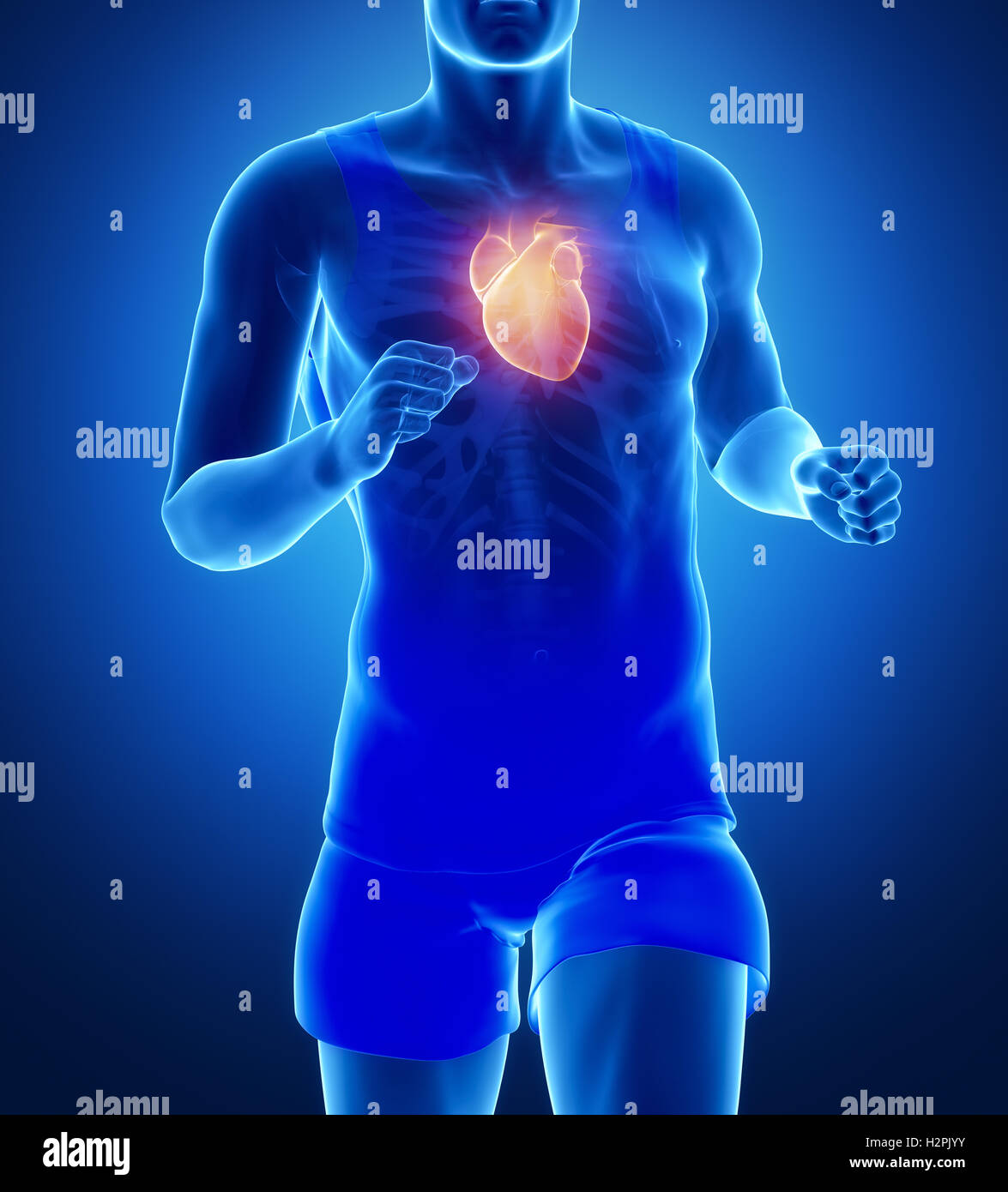 Running man focused on heart Stock Photo - Alamy