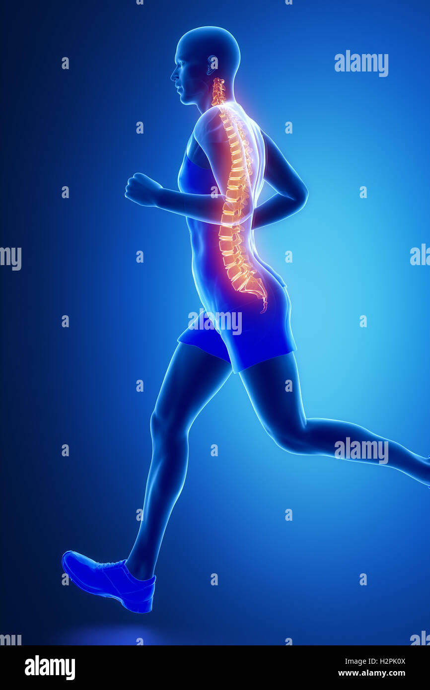 Running man with visible spine Stock Photo - Alamy