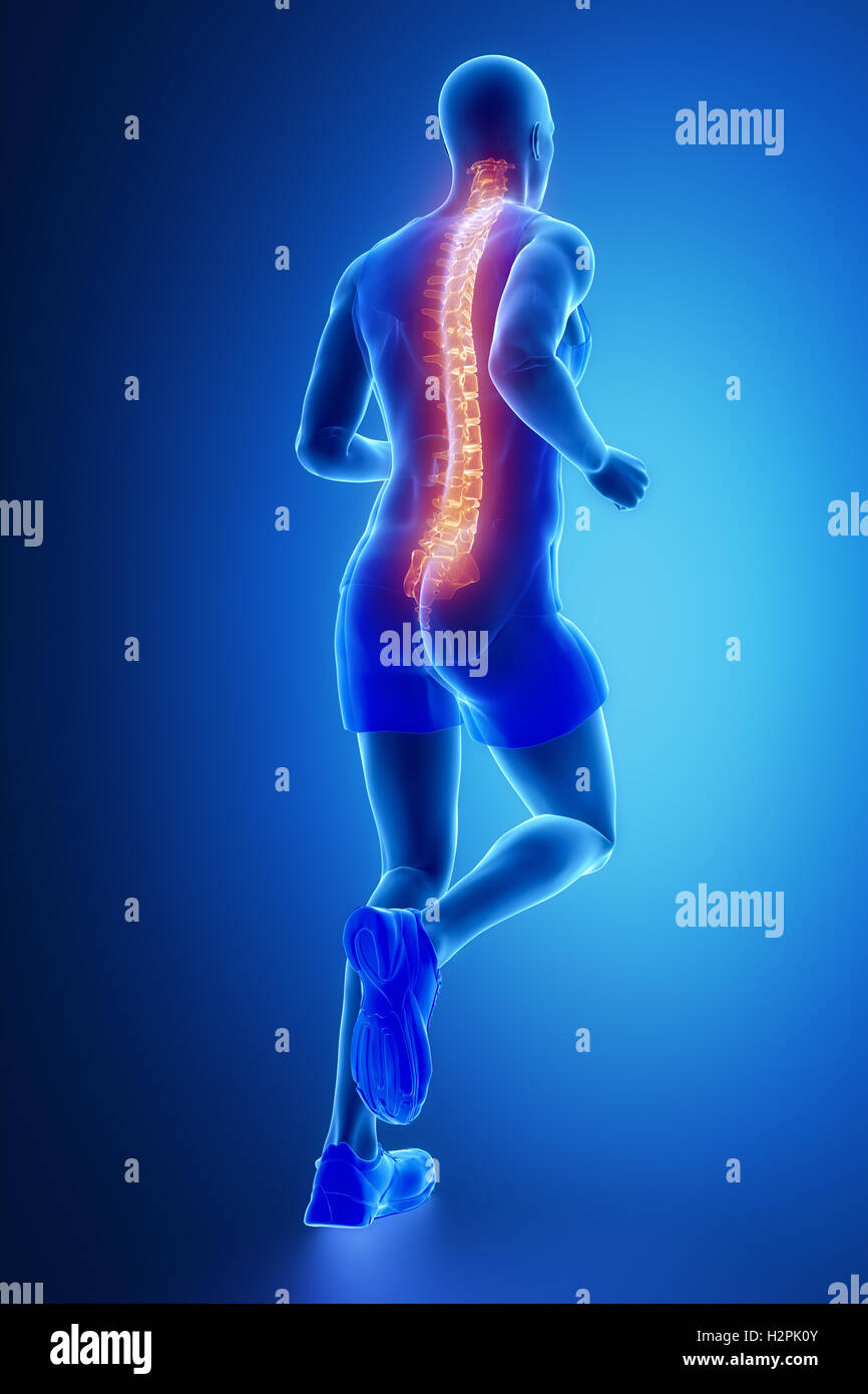 Lumbar lordosis hi-res stock photography and images - Alamy