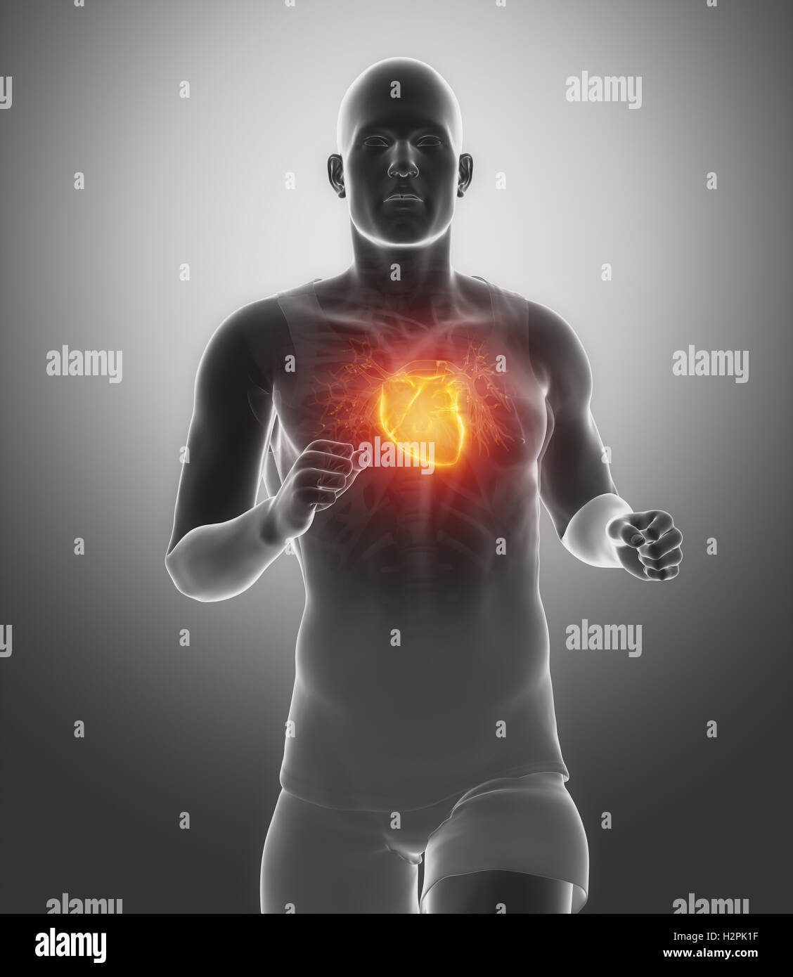 Athlete heart system hi-res stock photography and images - Alamy