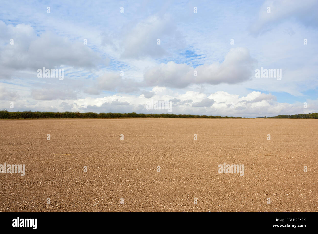 Soil Textures High Resolution Stock Photography and Images - Alamy