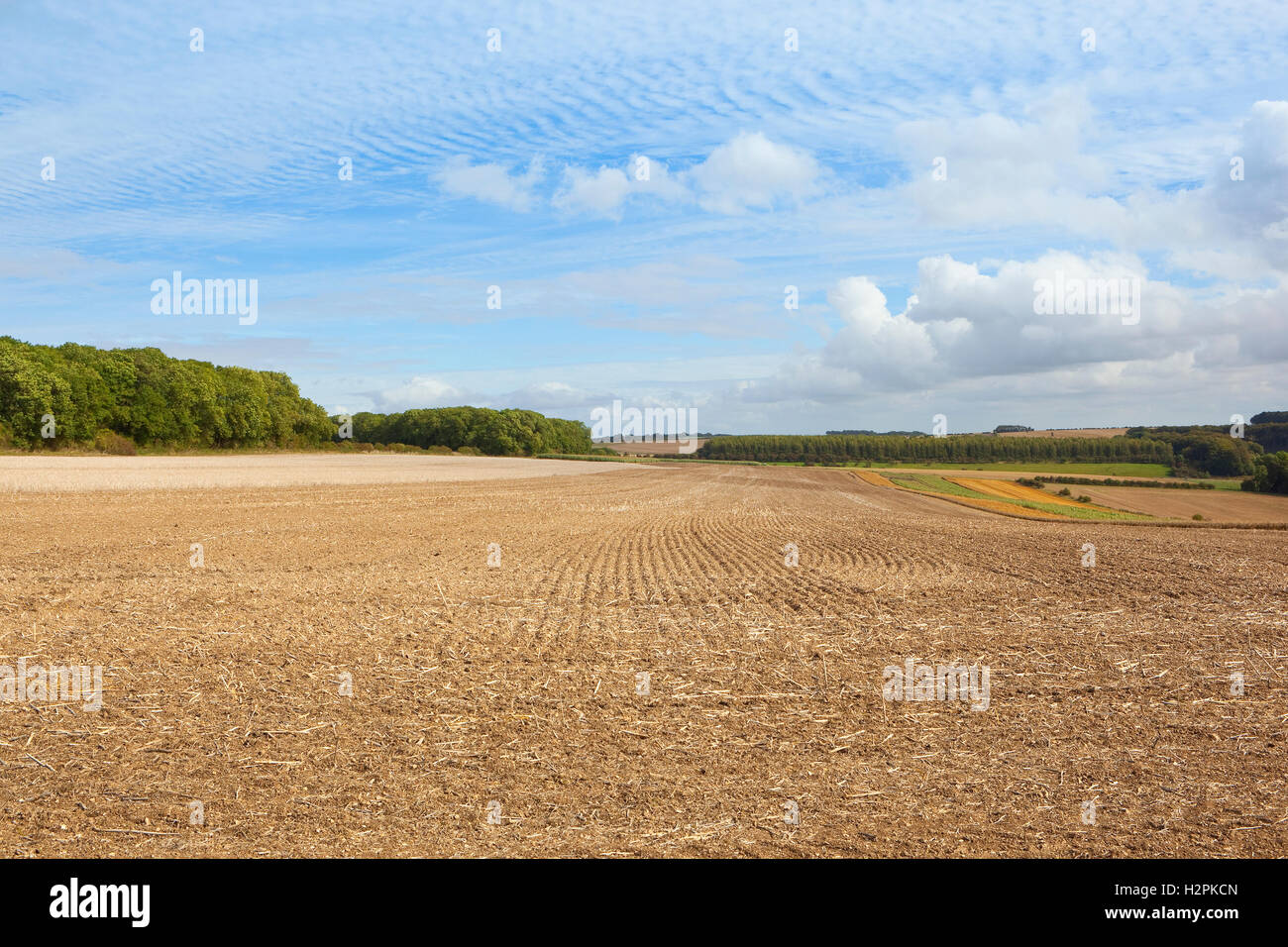 Textures soil hi-res stock photography and images - Alamy