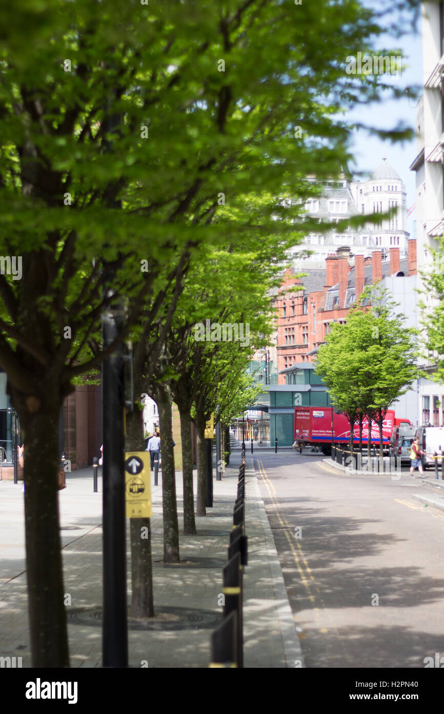 A typical city street lined with trees on a quiet day Stock Photo - Alamy