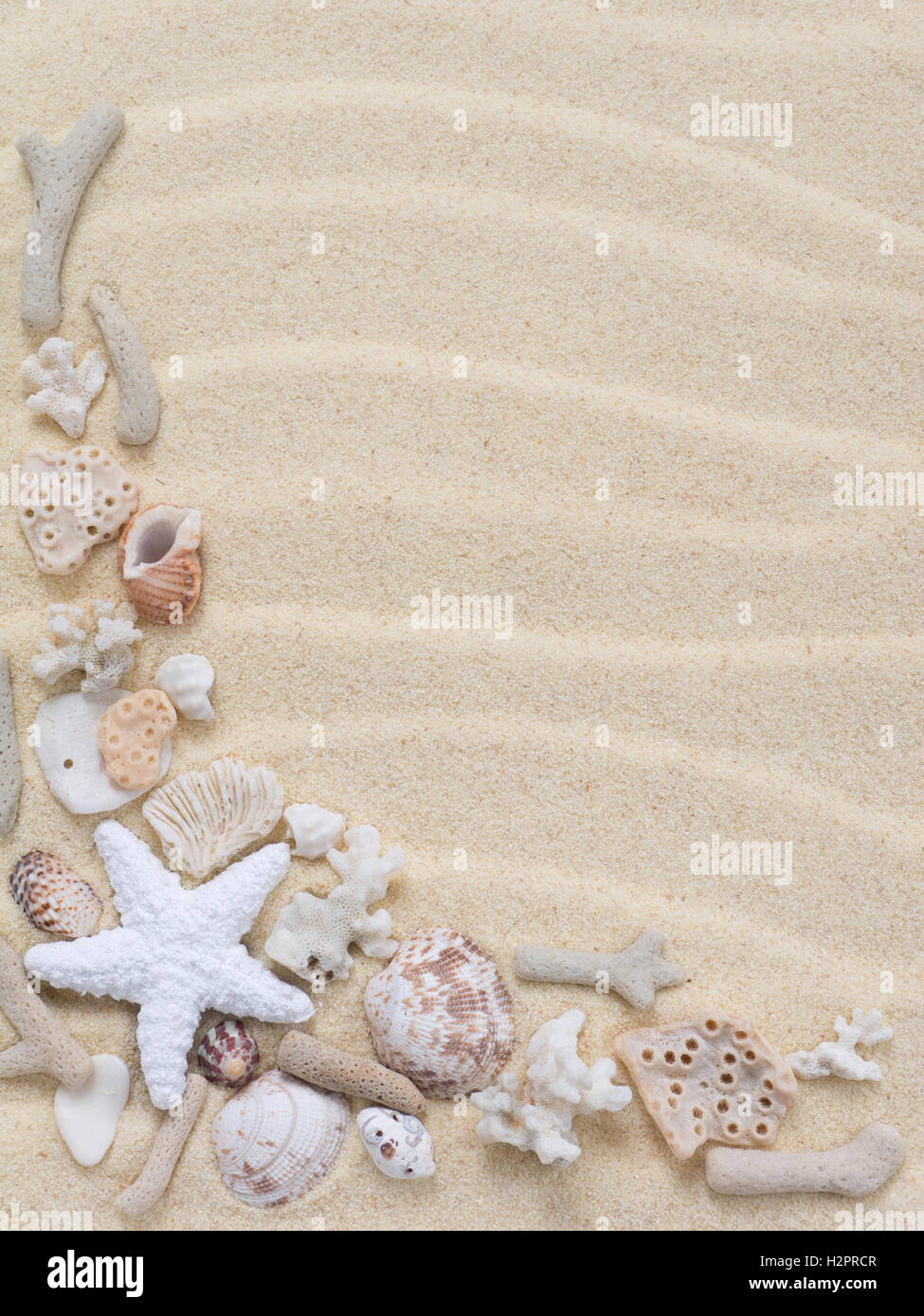 Starfish,corals and seashells on the sand Stock Photo - Alamy