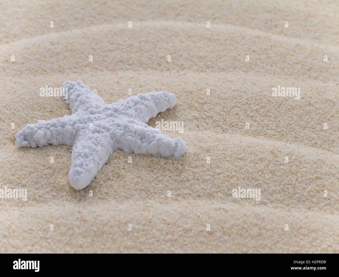 Starfish and tropical nature hi-res stock photography and images - Alamy