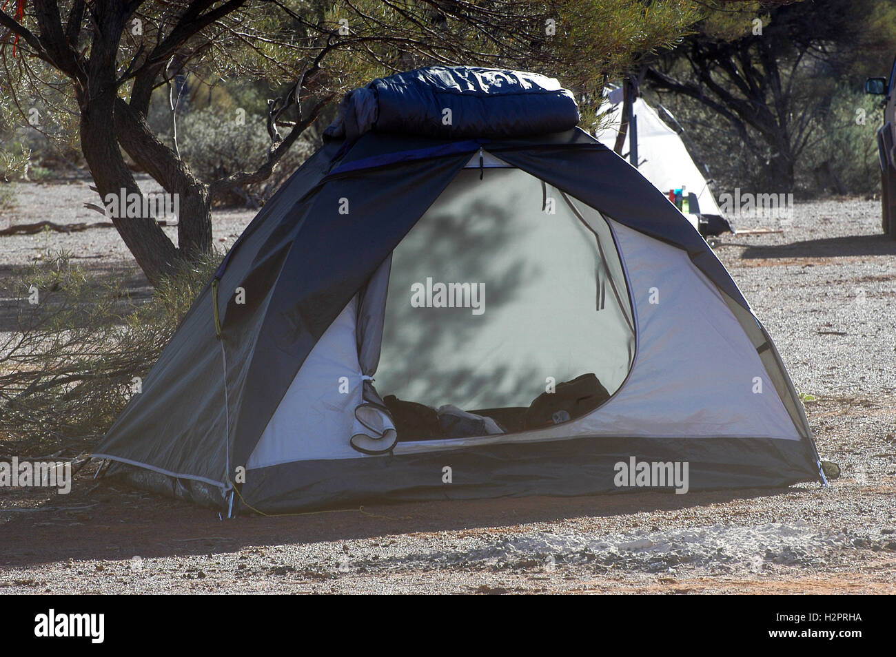 camp-site in the Australian bush with a tent igloo Stock Photo - Alamy