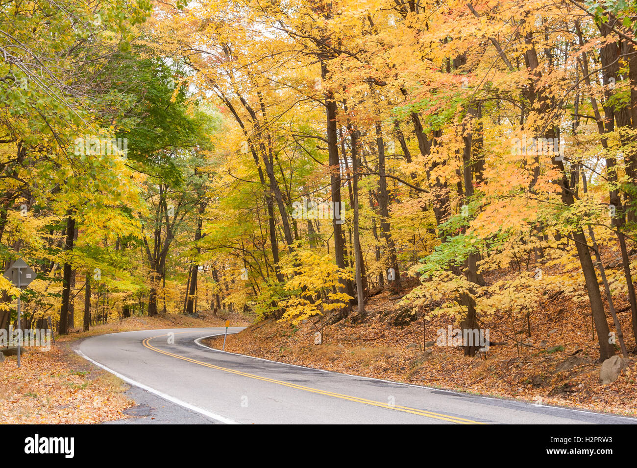 Fall foliage and a winding road through a wooded area Stock Photo - Alamy