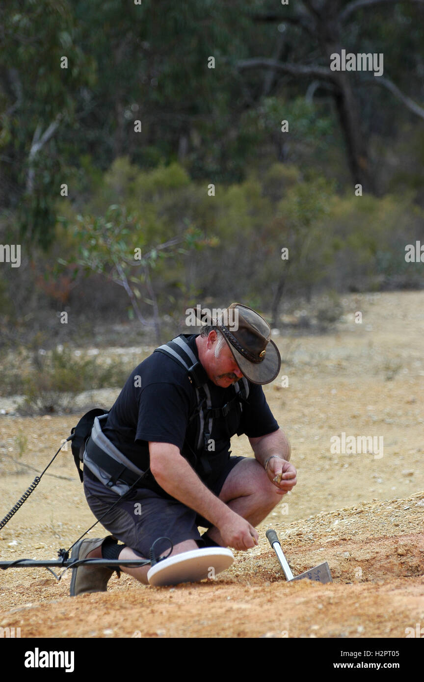gold prospector in a Victorian forest in Australia at work with a metal ...