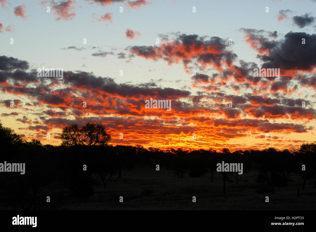 sunset in the Australian bush Stock Photo - Alamy