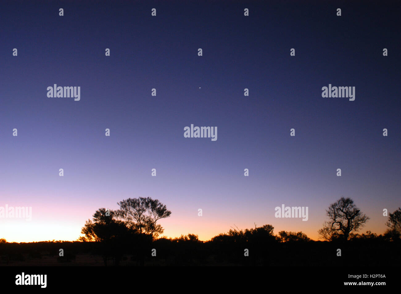 sunset in the Australian bush Stock Photo - Alamy