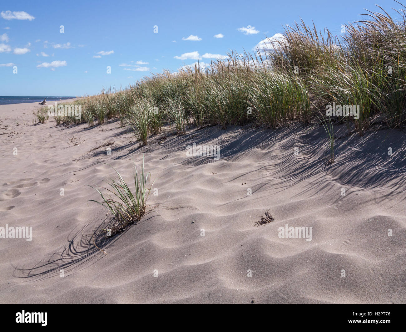 Sand Dune Erosion High Resolution Stock Photography and Images - Alamy