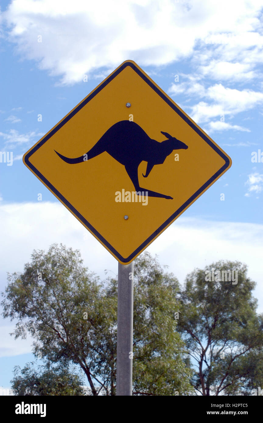 road sign indicating a possible crossing kangaroo Stock Photo - Alamy