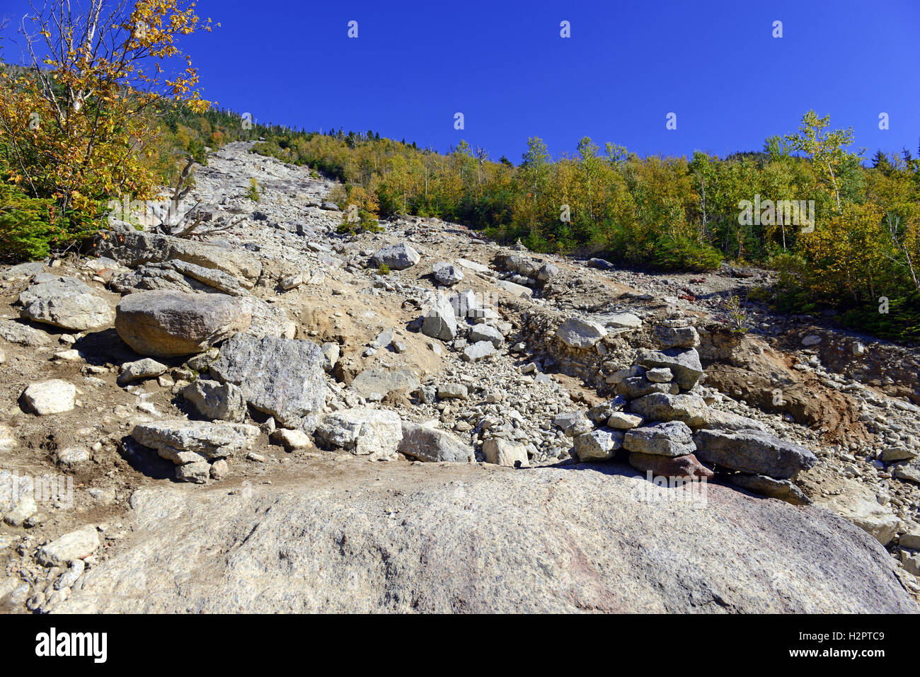 Soil slide forest hi-res stock photography and images - Alamy