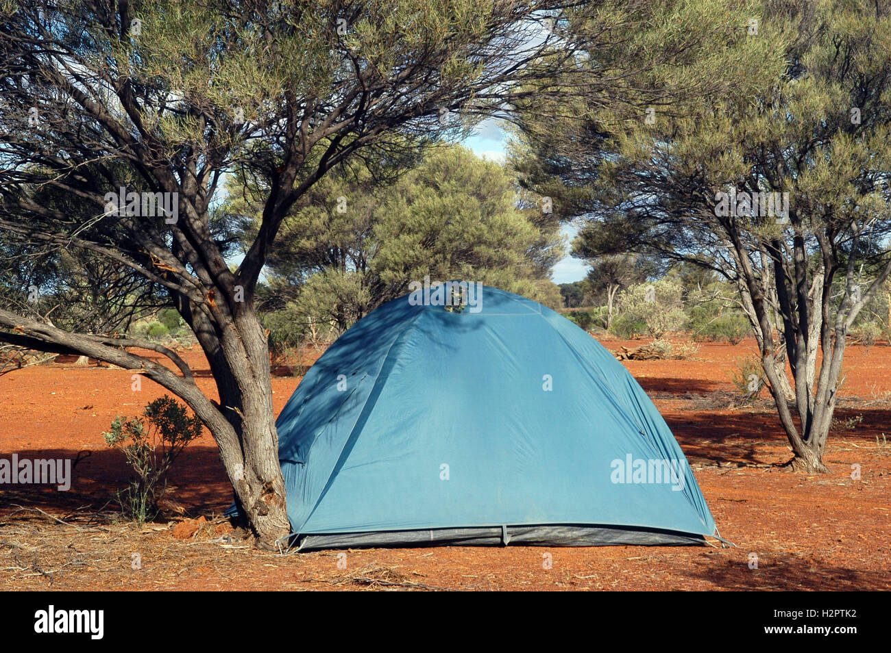wilderness camping in the Australian bush Stock Photo - Alamy