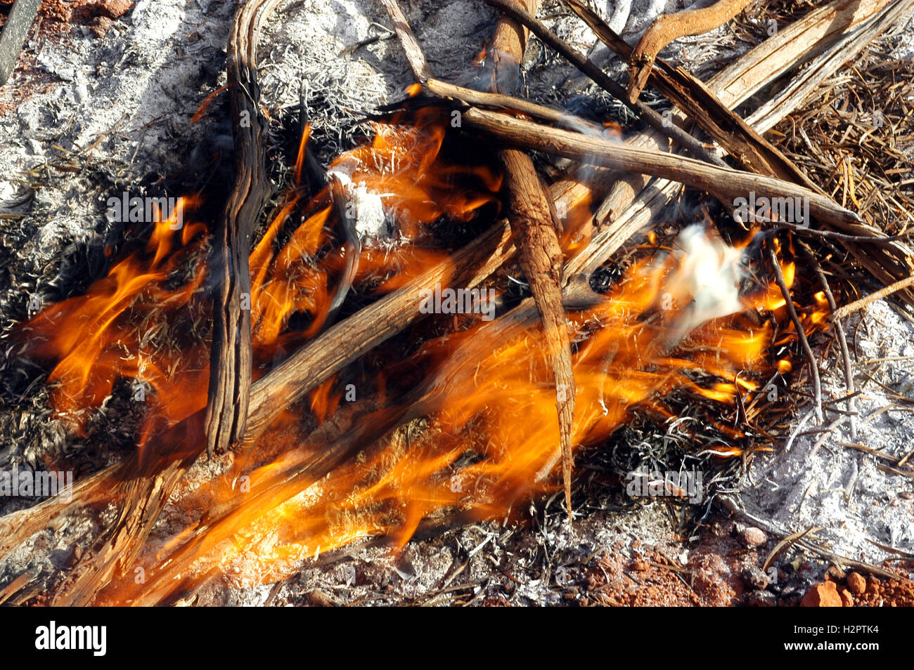 The campfire in the bush in Western Australia Stock Photo - Alamy