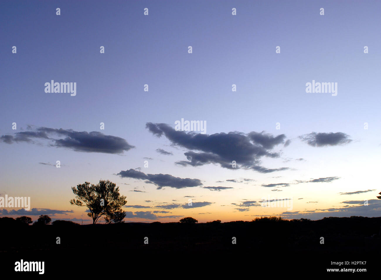 sunset in the Australian bush Stock Photo - Alamy