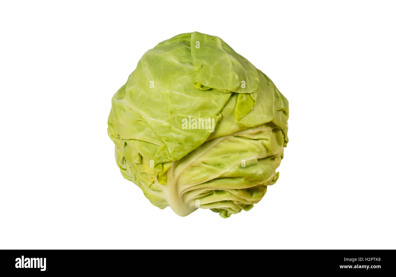 Isolated green cabbage Stock Photo - Alamy