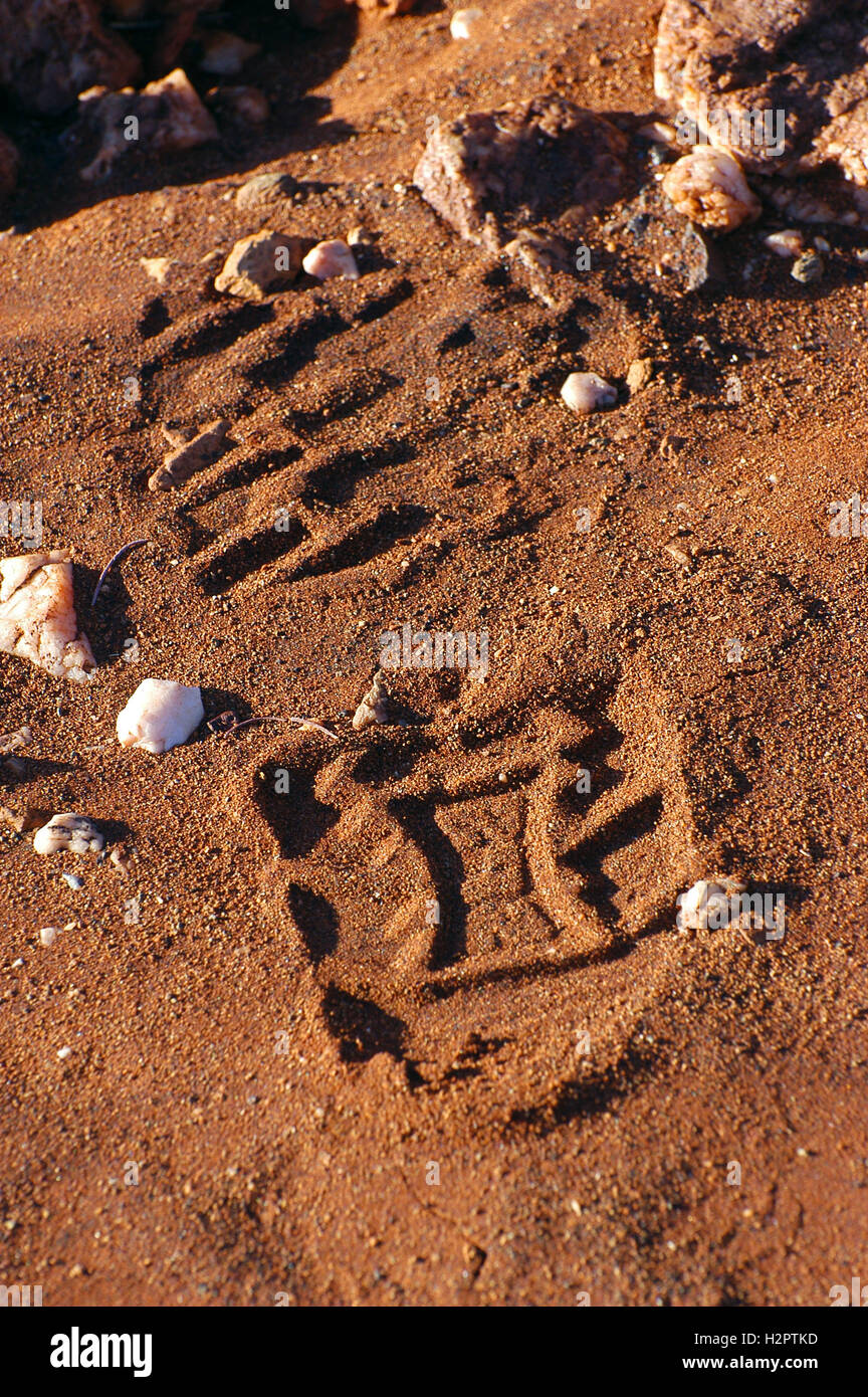 Desert sand footprint australia hi-res stock photography and images - Alamy