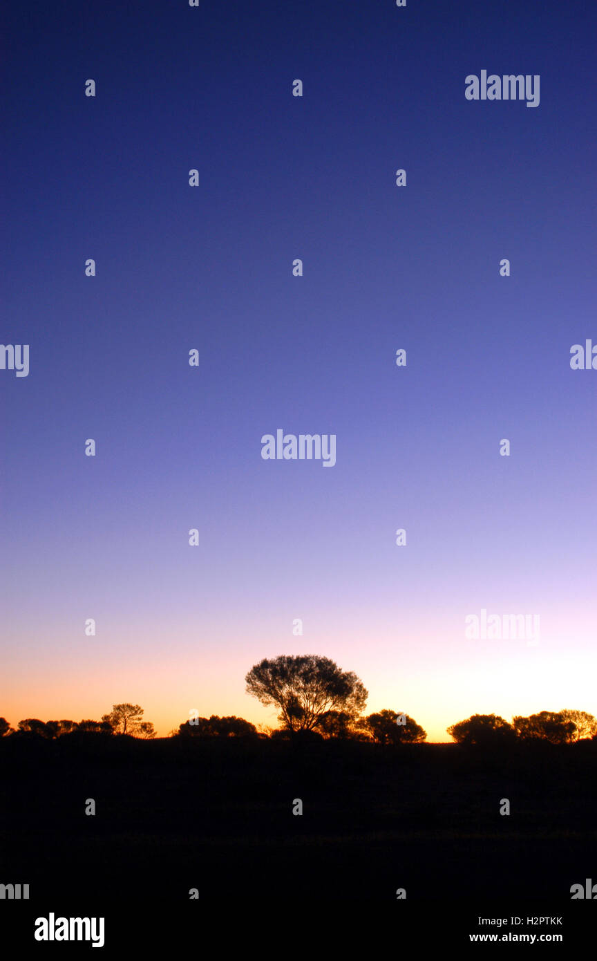sunset in the Australian bush Stock Photo - Alamy