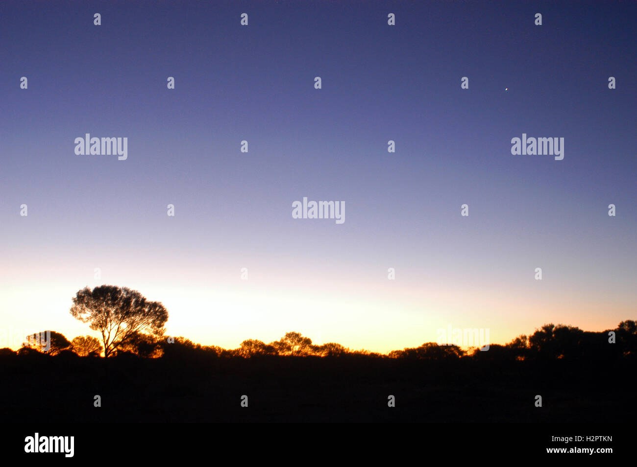 sunset in the Australian bush Stock Photo - Alamy