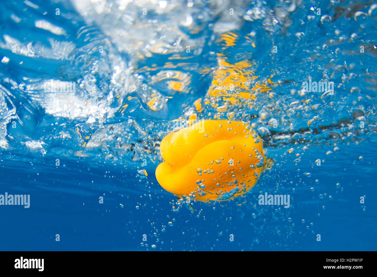 Bell pepper splashing in blue water Stock Photo - Alamy