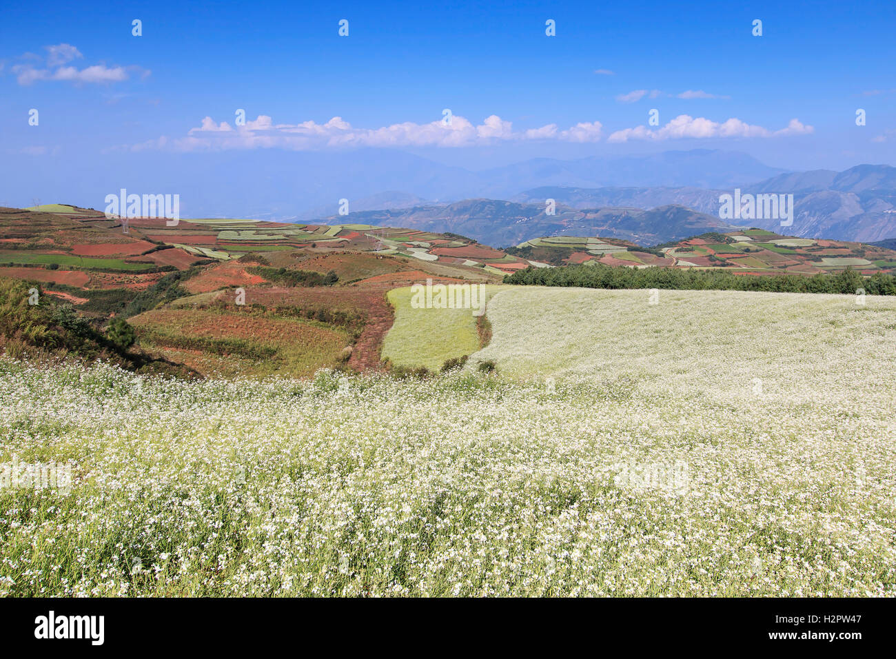DongChuan red land panorama, one of the landmarks in Yunnan Province ...