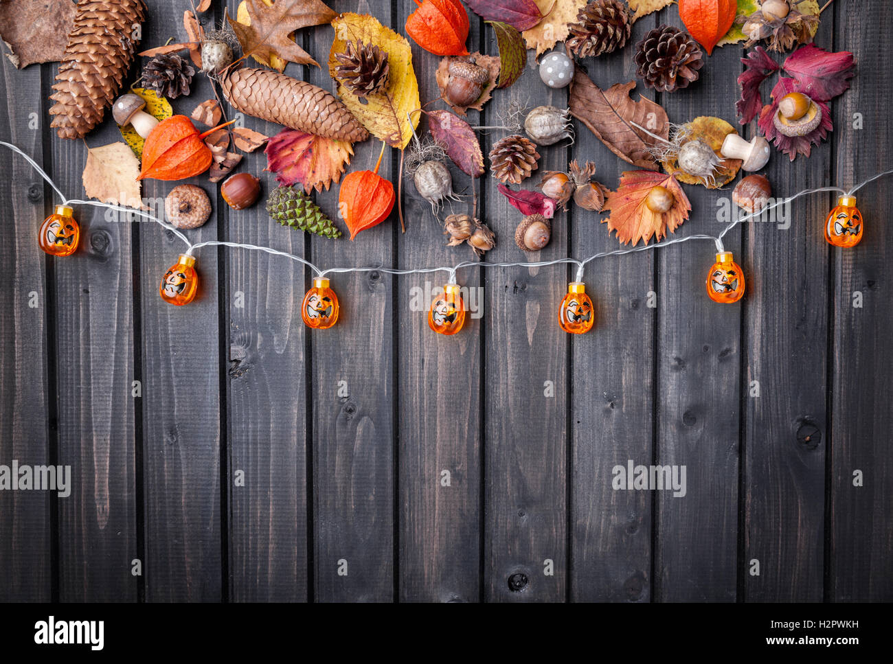 Traditional, spooky and scary halloween holiday background Stock Photo ...