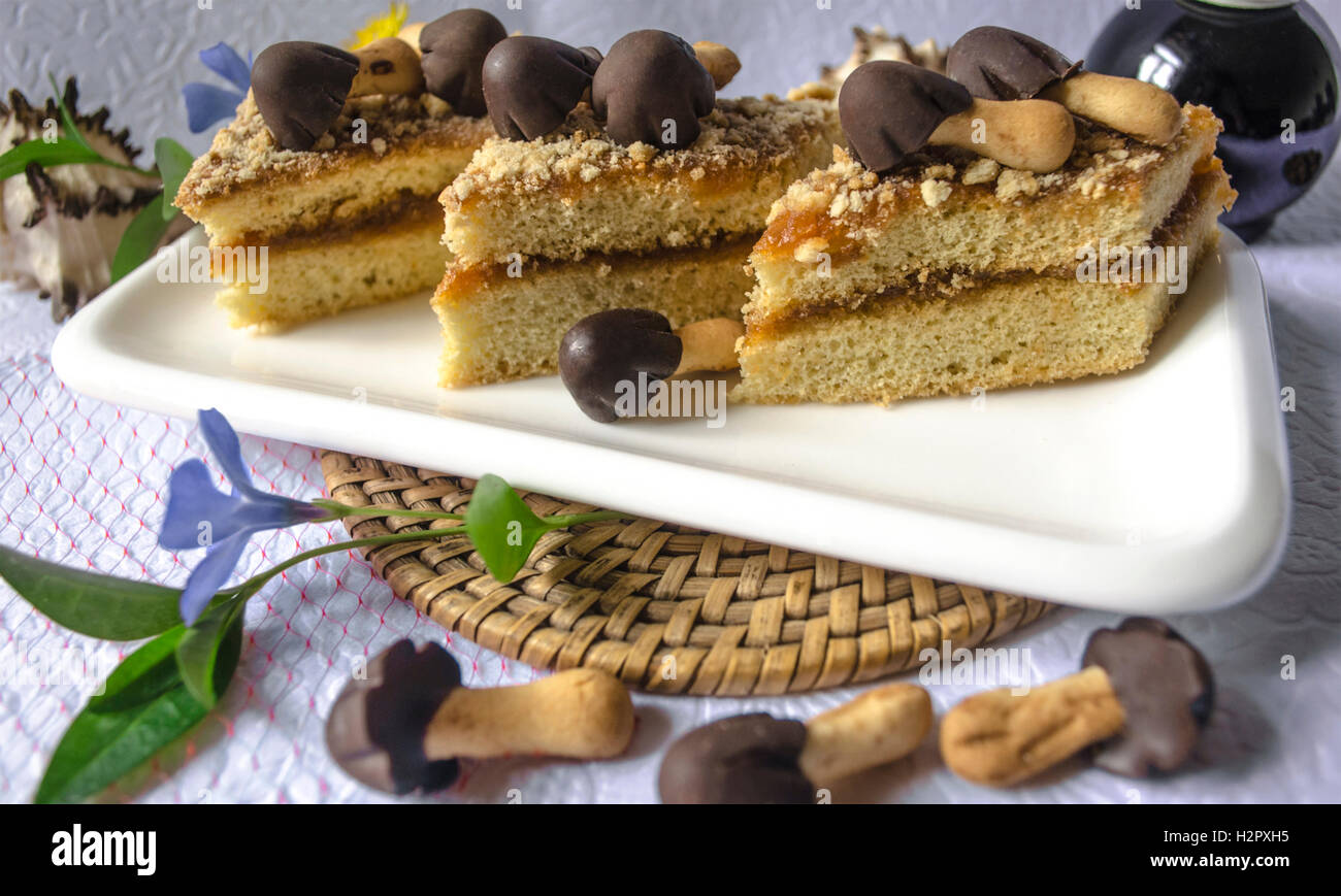 The white rectangular crockery with slices of cake Stock Photo - Alamy