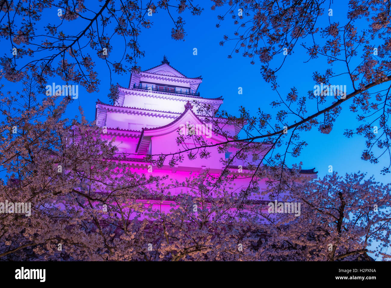 Light up at Tsuruga Castle (Aizu castle) surrounded by hundreds of ...