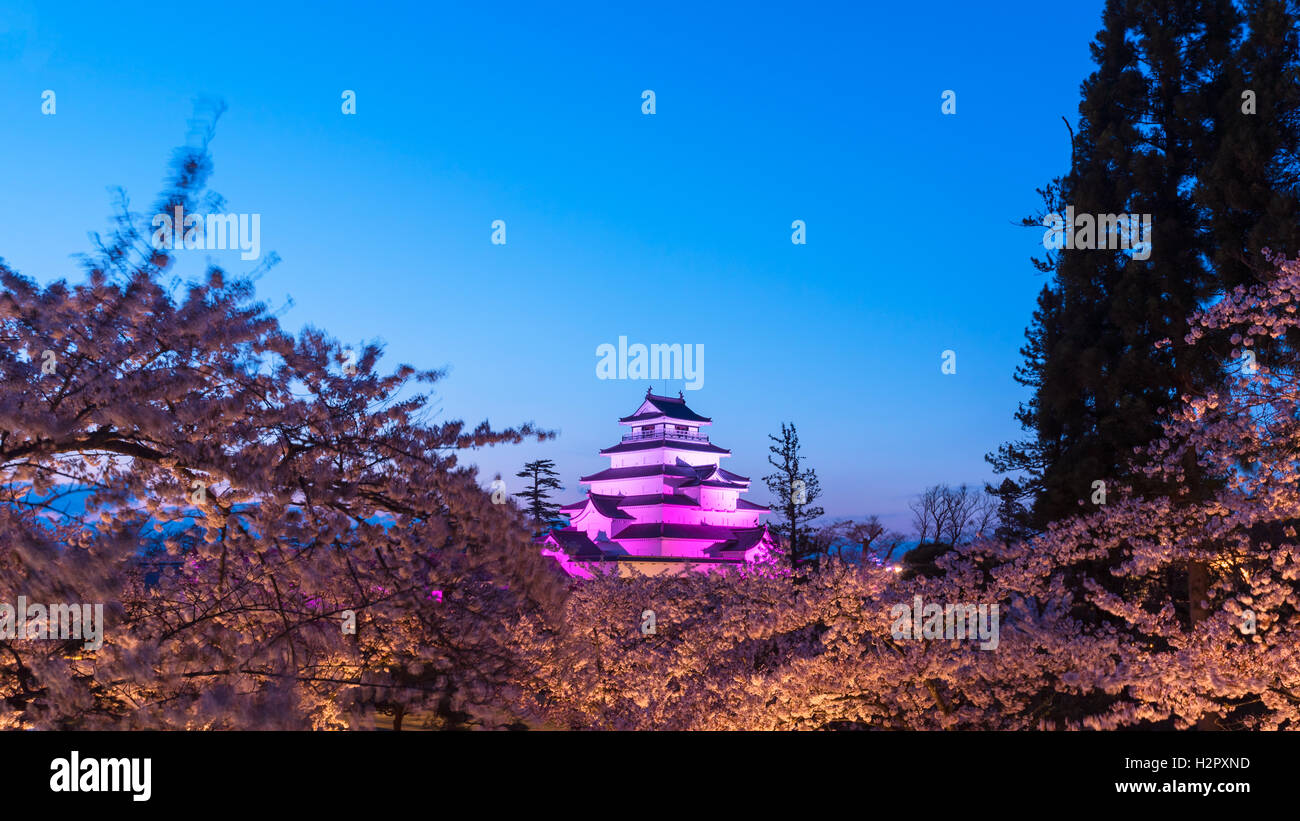 Light up at Tsuruga Castle (Aizu castle) surrounded by hundreds of ...