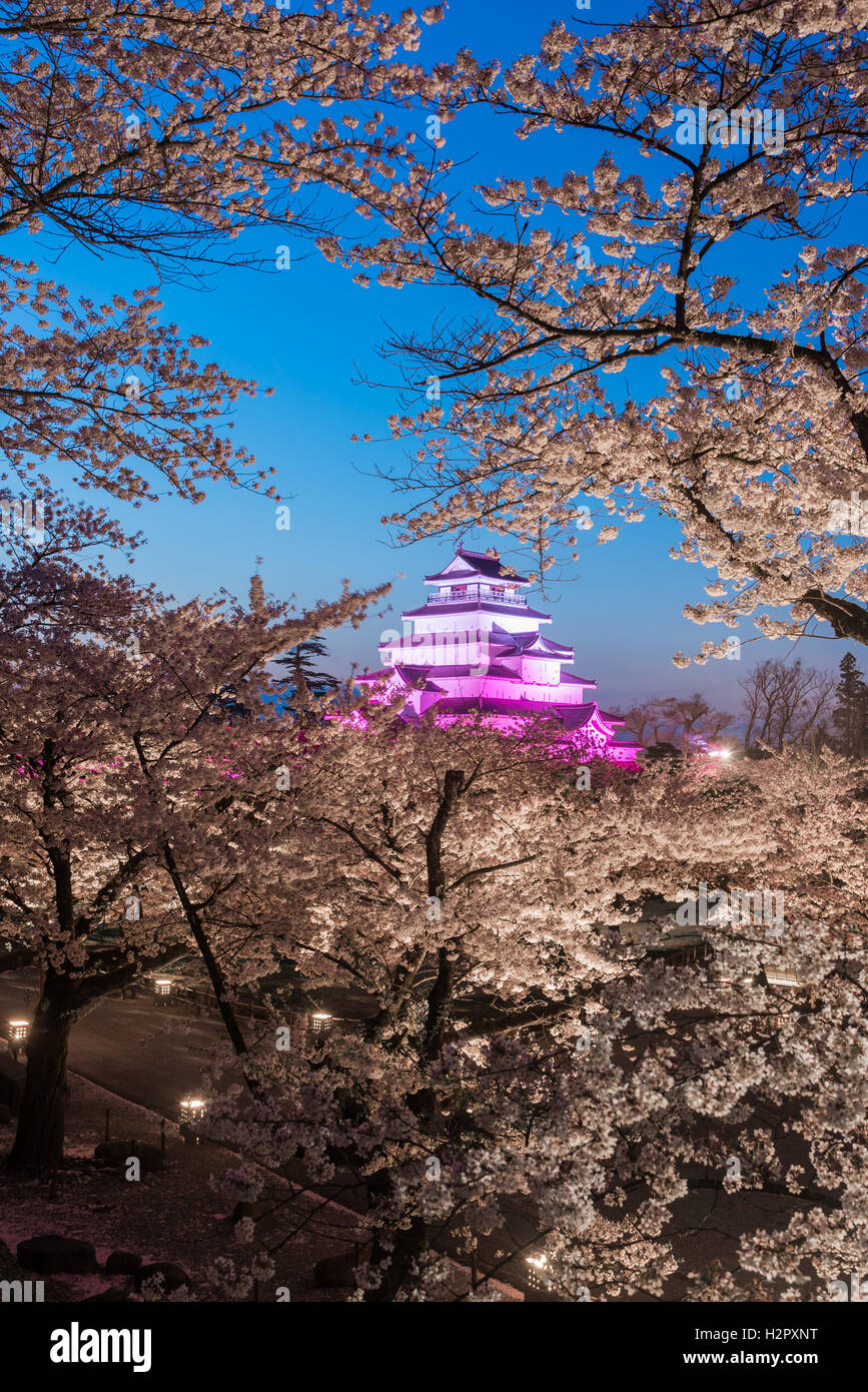 Light up at Tsuruga Castle (Aizu castle) surrounded by hundreds of ...