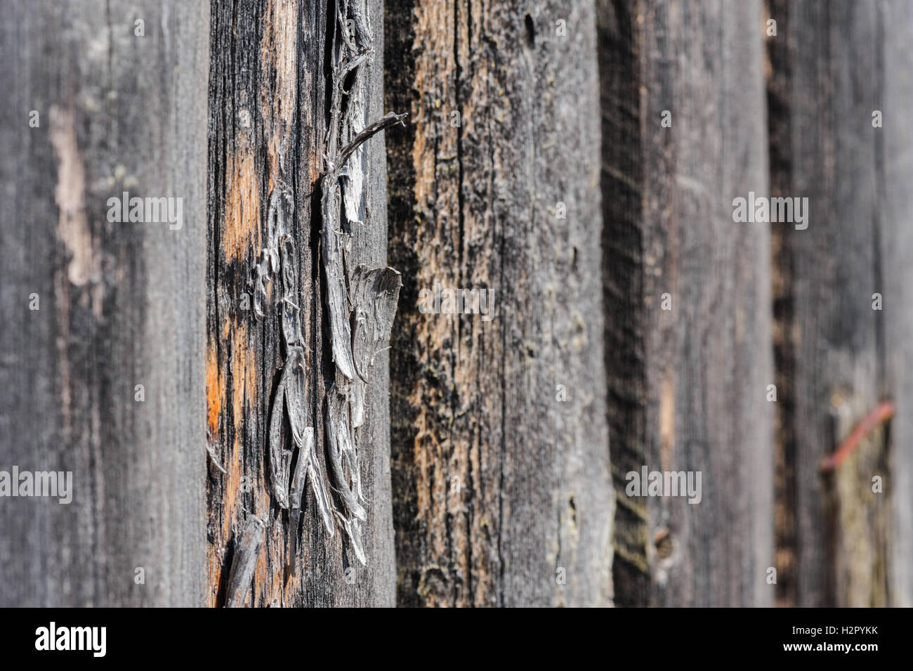 cracked aged wooden boards Stock Photo - Alamy