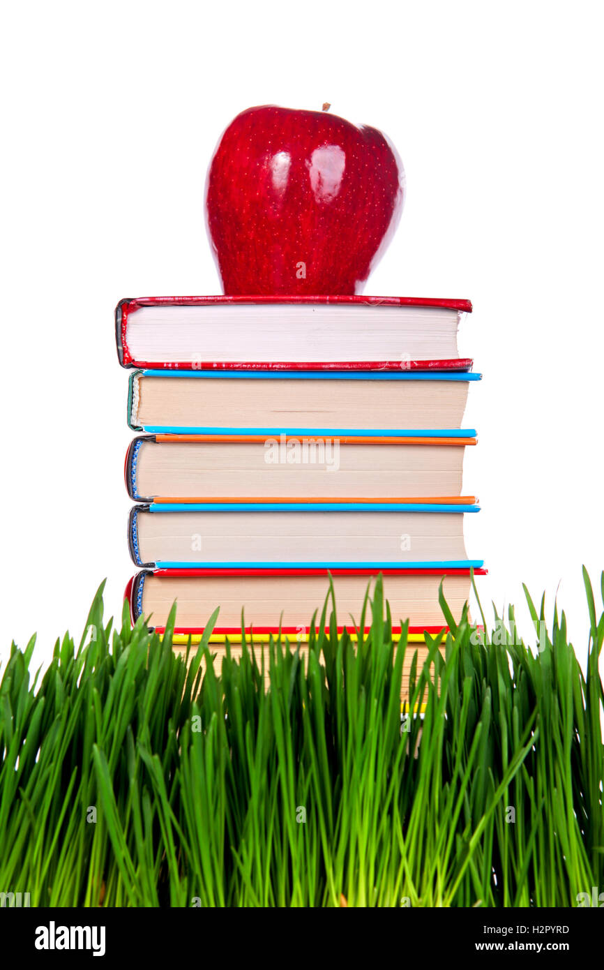 Pile of the Books on the Fresh Grass Stock Photo - Alamy