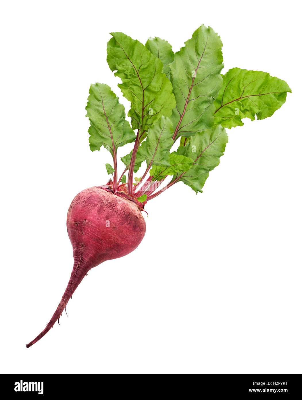 Beetroot With Leaves Isolated On White Stock Photo - Alamy