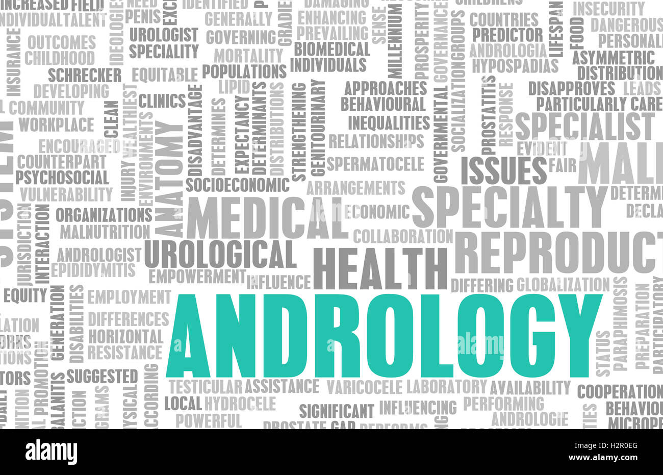 Andrology hi-res stock photography and images - Alamy