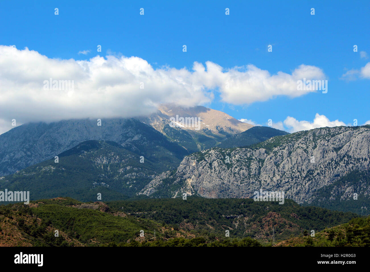Turkish mountains covered with vegetation Stock Photo - Alamy