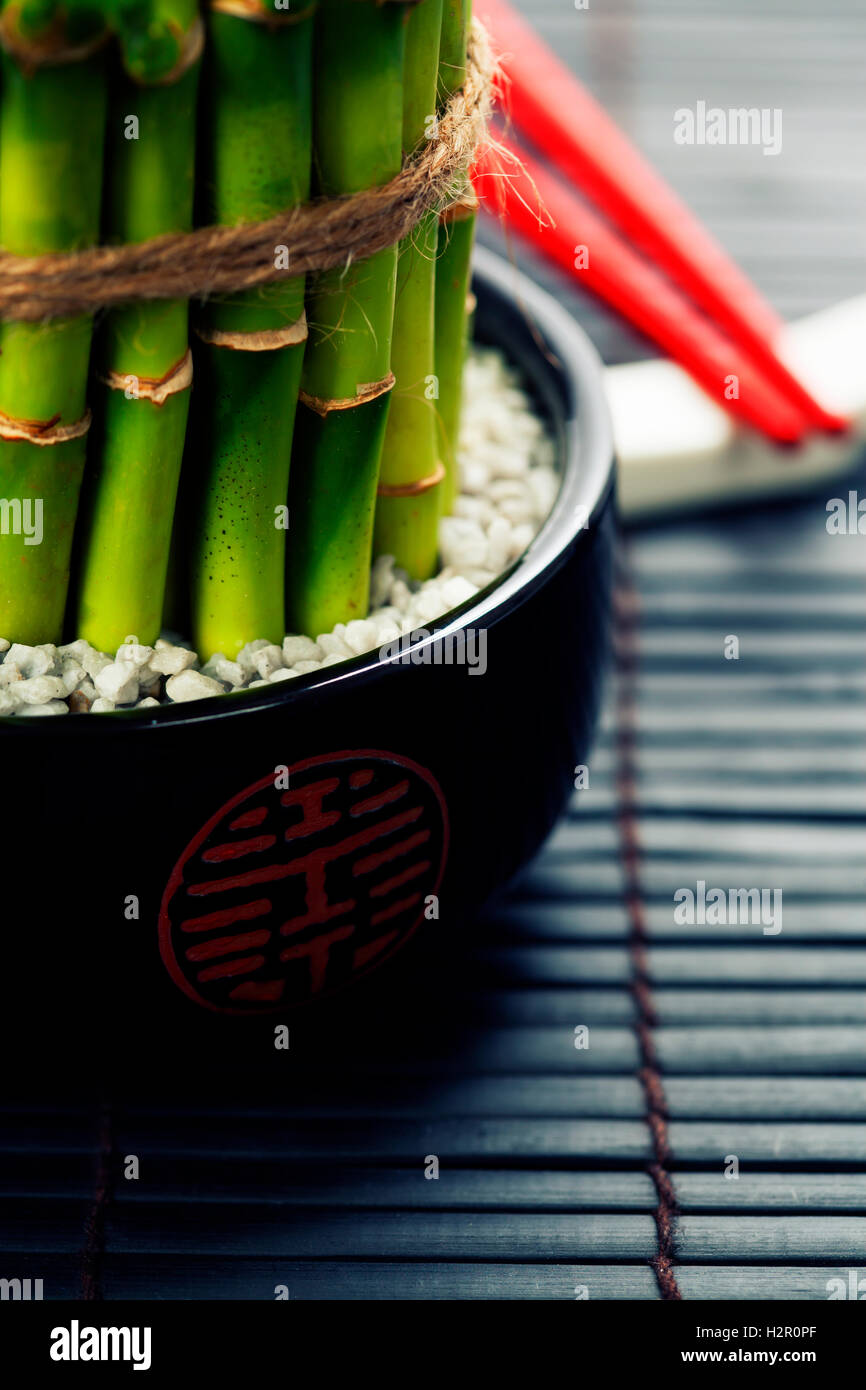 Lucky bamboo plant symbol hi-res stock photography and images - Alamy