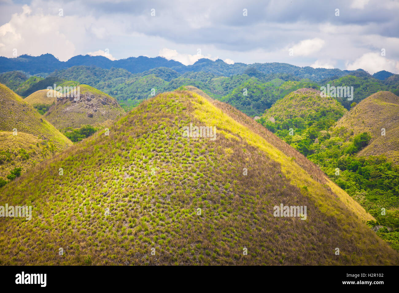 Green unusual Chocolate Hills in Bohol, Philippines Stock Photo - Alamy
