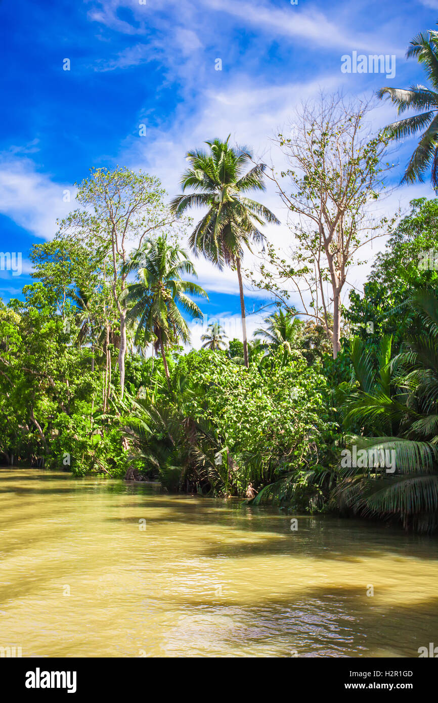 Loboc river and jungle at the island Bohol in Philippines Stock Photo ...