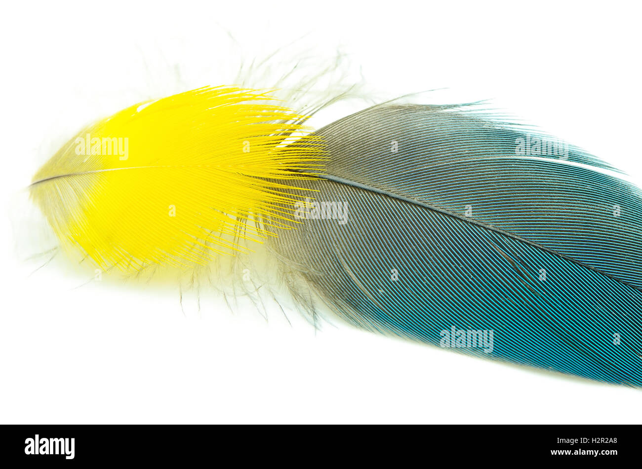 Isolated by light color hi-res stock photography and images - Alamy