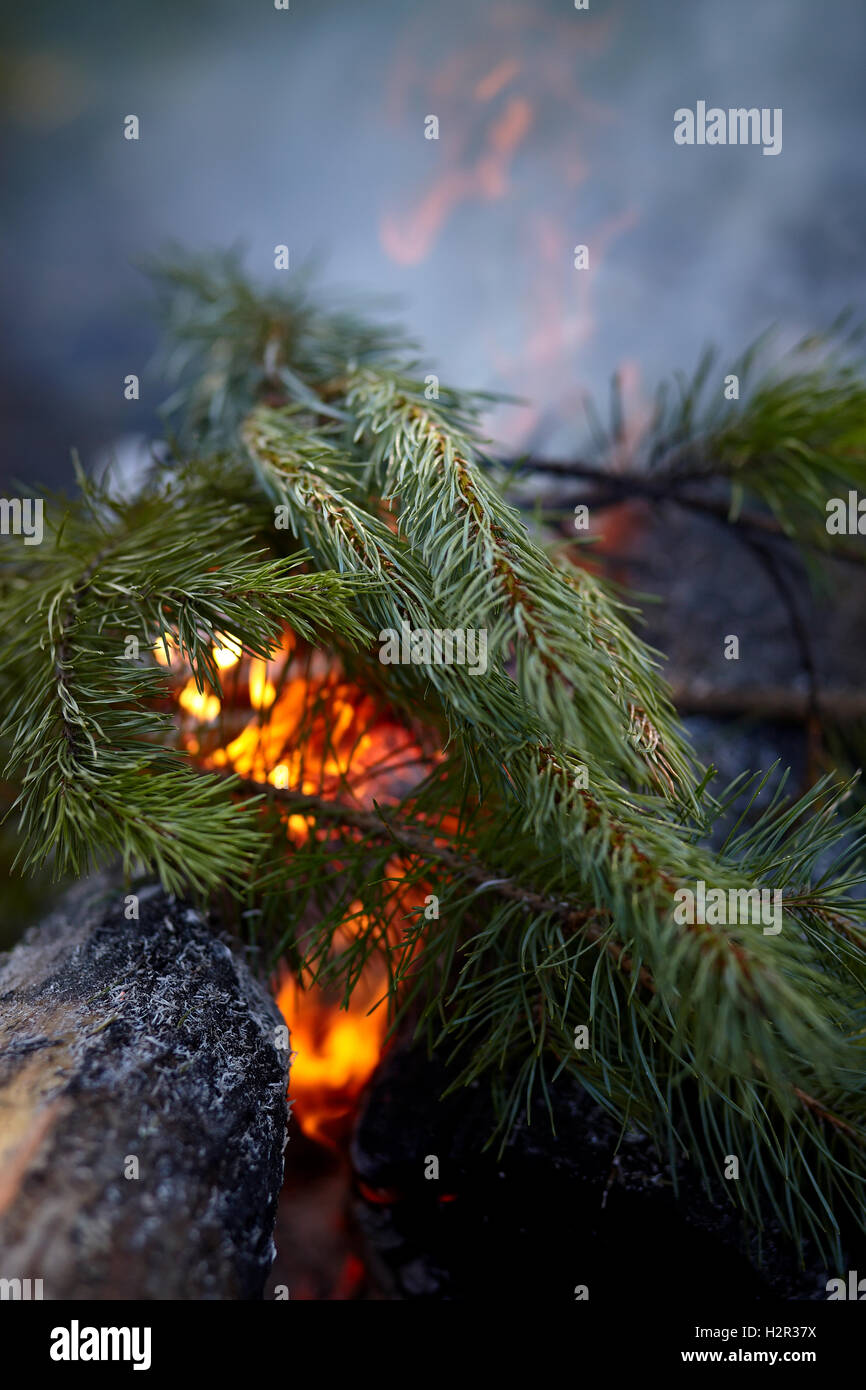 Smoldering campfire hi-res stock photography and images - Alamy