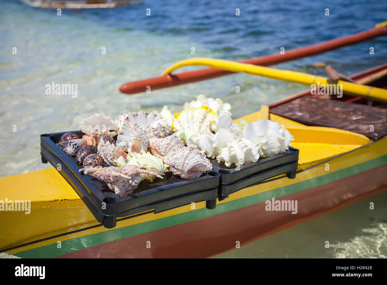 Beautiful colorful seashells in a basin on tropical island Stock Photo ...